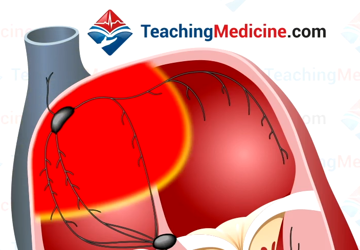 Teaching Medicine - Tutorial: Analyze the Waveforms